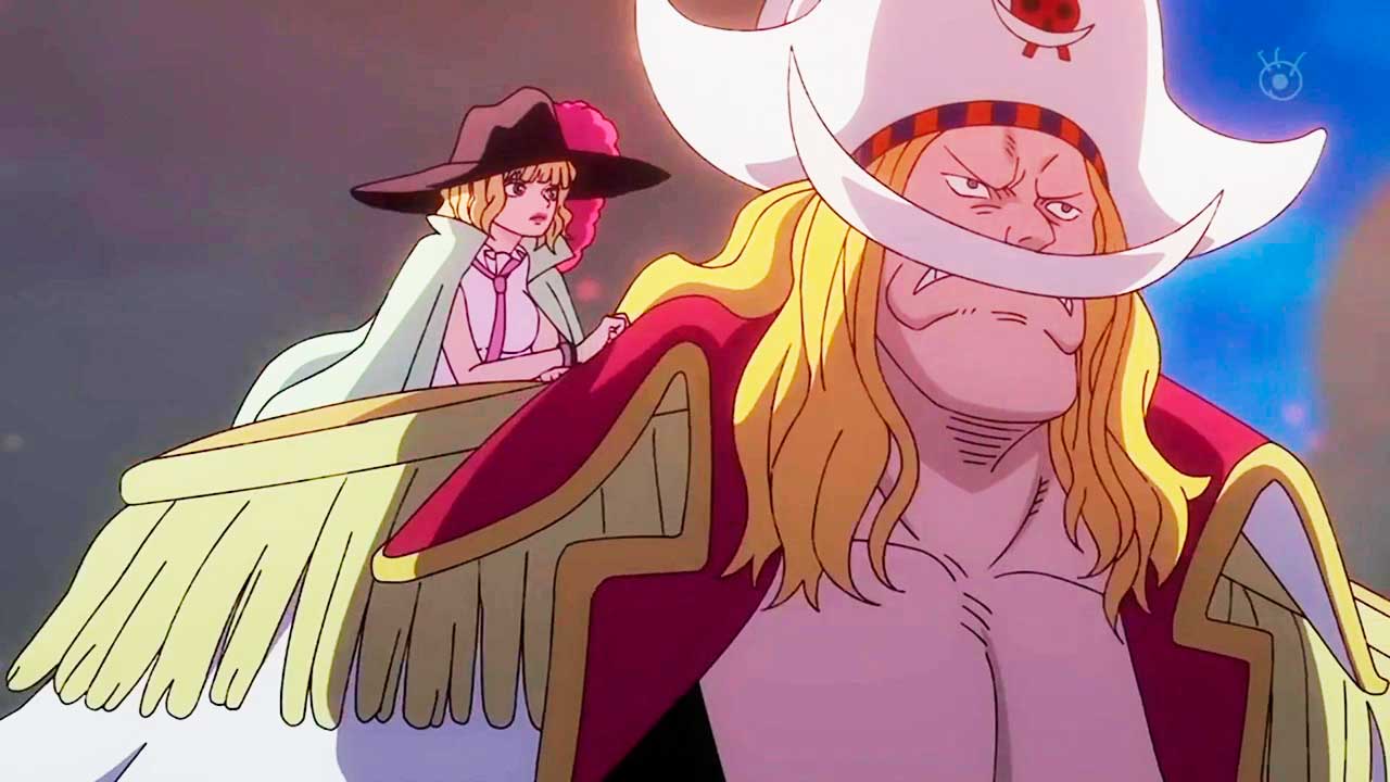 One Piece revela mais detalhes da relação entre Barba Branca e Stussy ...